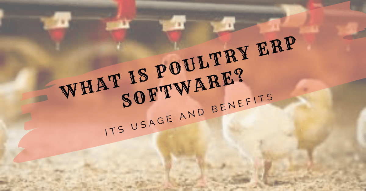 What is Poultry ERP Software? Its Usage and Benefits - Navfarm Blog