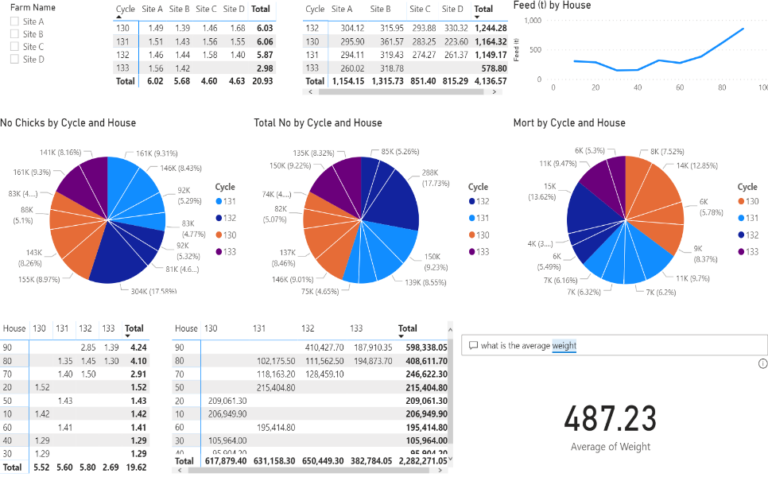 A Comprehensive Guide to Broiler Management: Farm to Fork - Navfarm Blog