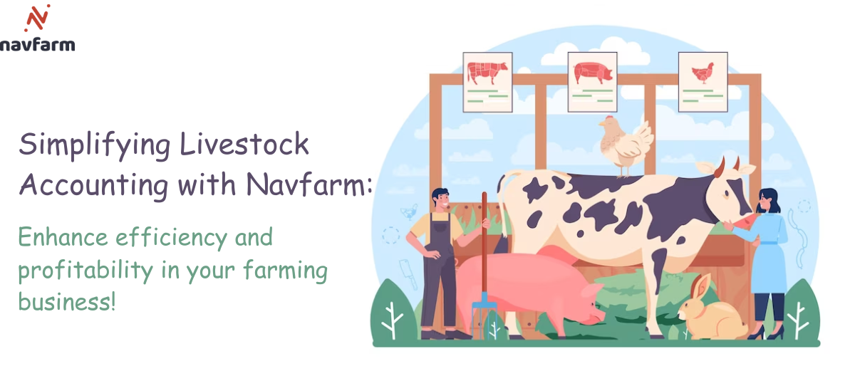 Simplifying Livestock Accounting with Navfarm