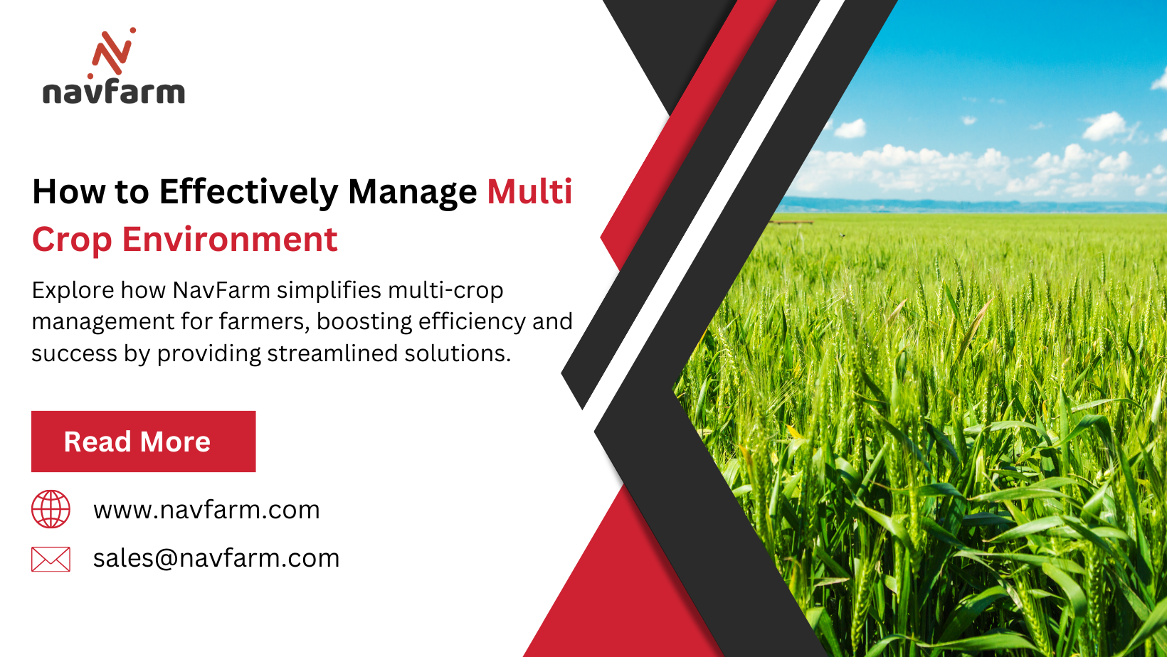 How to Effectively Managing multi crop environment - Navfarm Blog