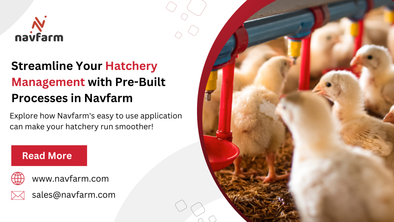 Streamline Your Hatchery Management with Pre-Built Processes in Navfarm ...