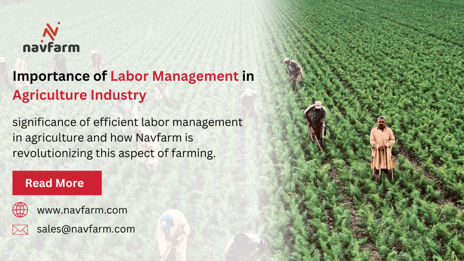 The Importance of Labor Management in Agriculture
