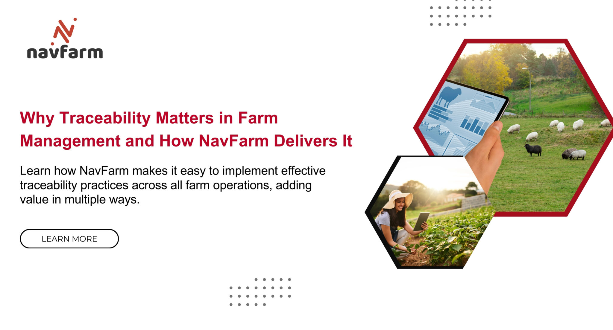 Why Traceability Matters in Farm Management and How NavFarm Delivers It - Navfarm Blog