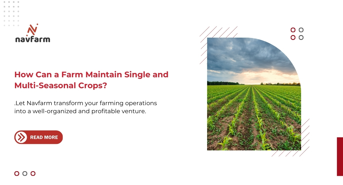 How Can a Farm Maintain Single and Multi-Seasonal Crops? - Navfarm Blog