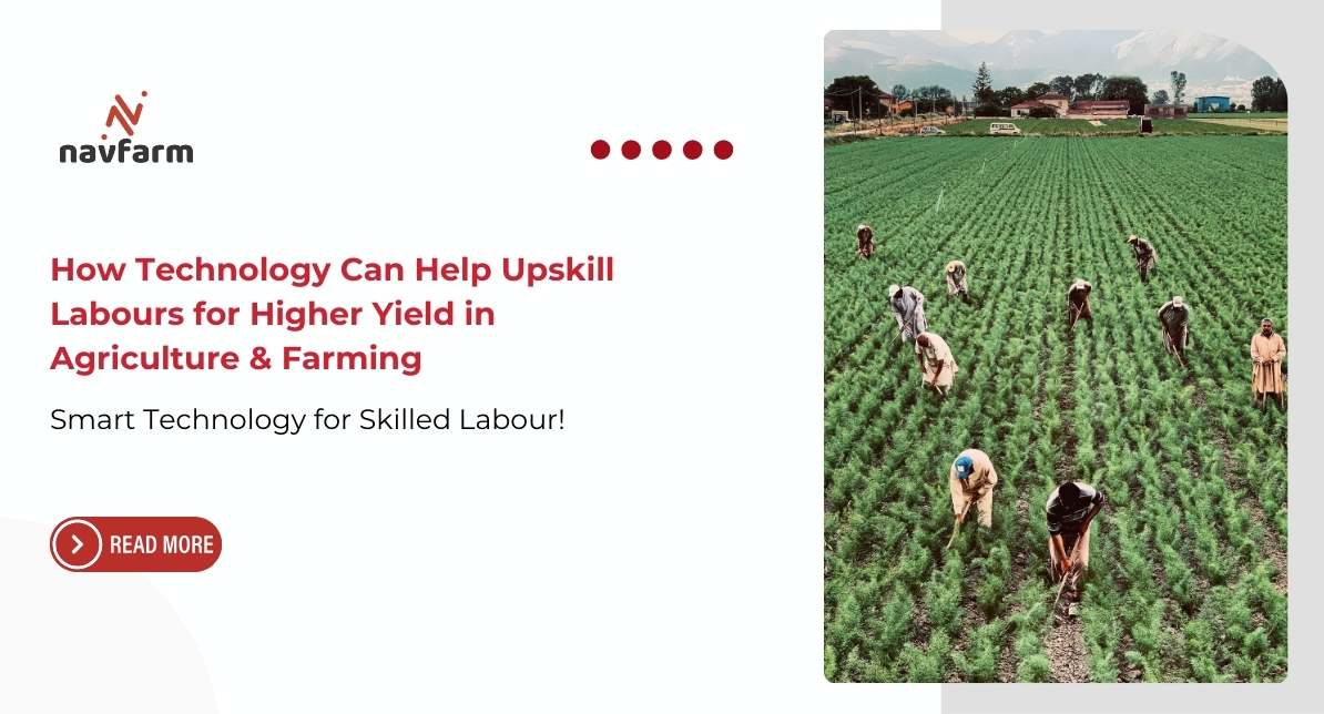 How Technology Can Help Upskill Labours for Higher Yield in Agriculture ...