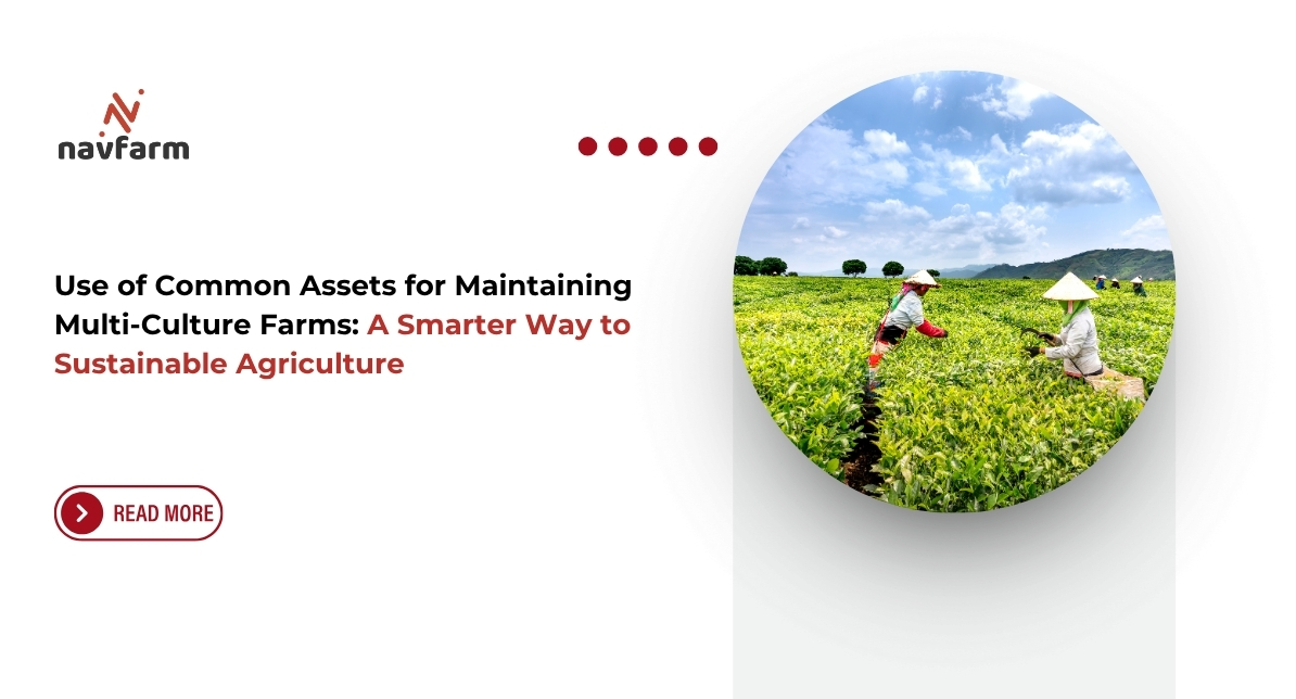 Use of Common Assets for Maintaining Multi-Culture Farms: A Smarter Way ...
