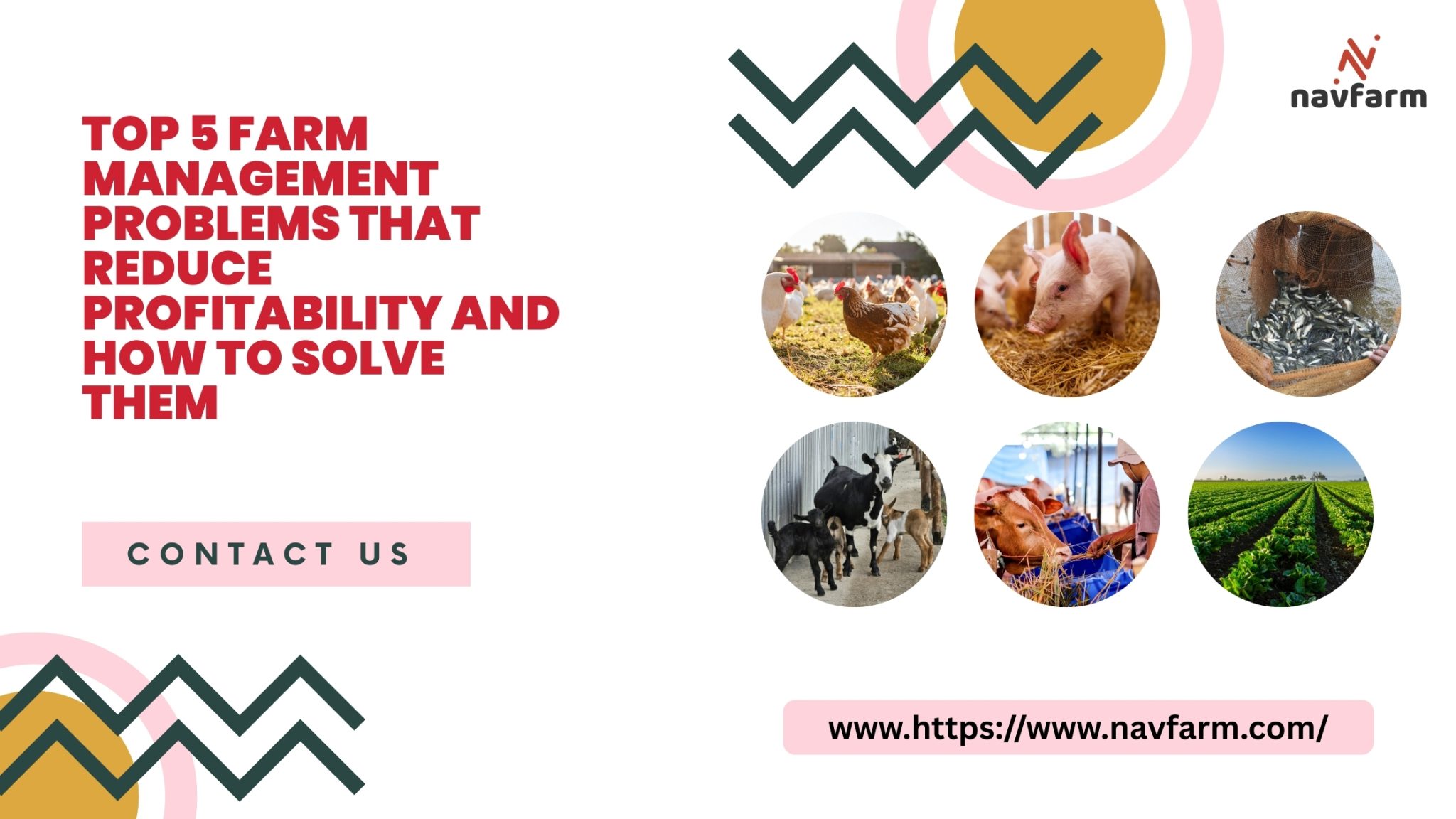Top 5 Farm Management Problems That Reduce Profitability And How to ...