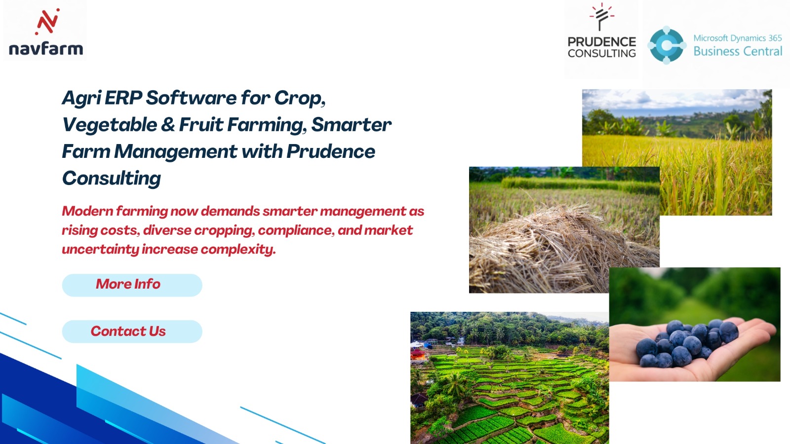 Agri ERP Software for Crop, Vegetable & Fruit Farming - Navfarm Blog