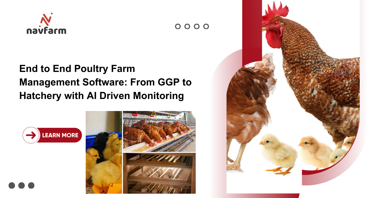 End to End Poultry Farm Management Software: From GGP to Hatchery with ...