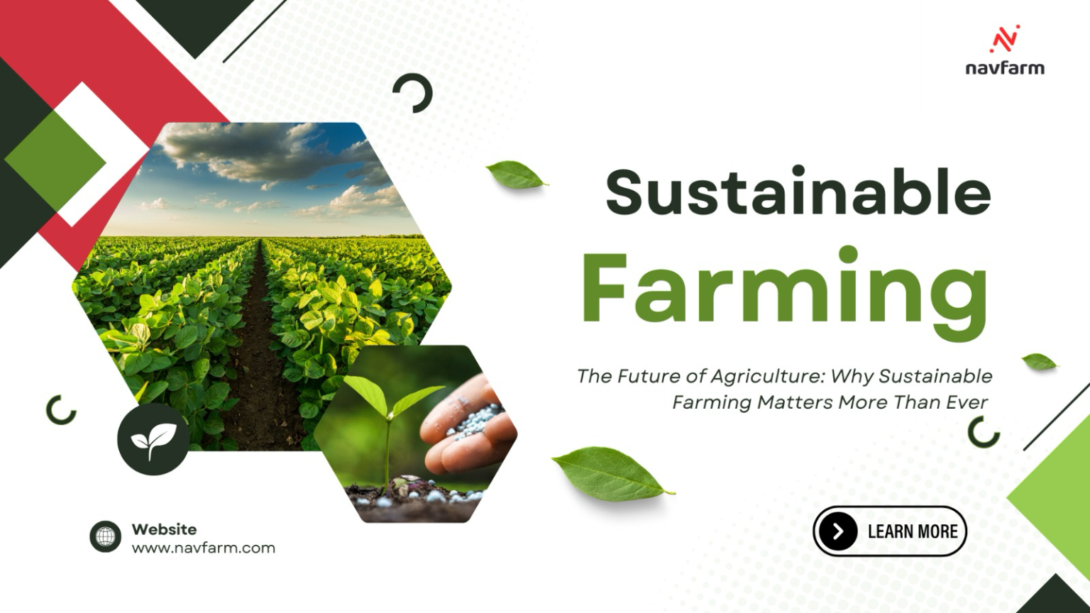 The Future of Agriculture: Why Sustainable Farming Matters More Than ...